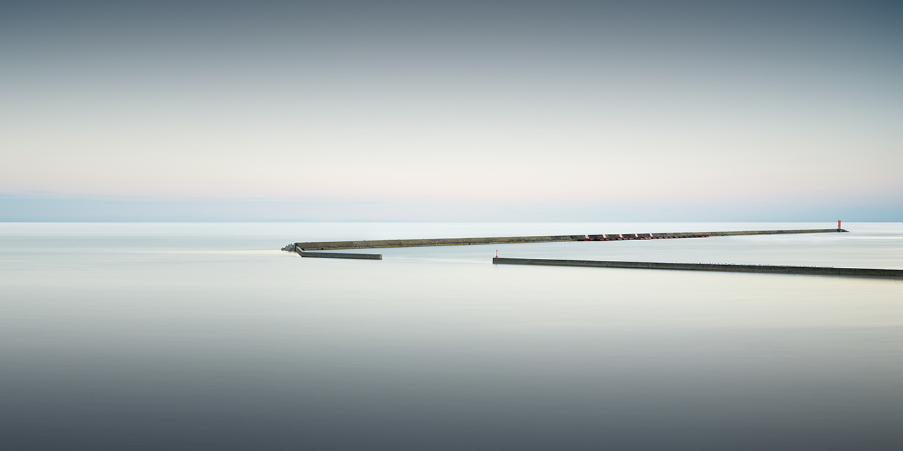 MICHAEL LEVIN : Colour