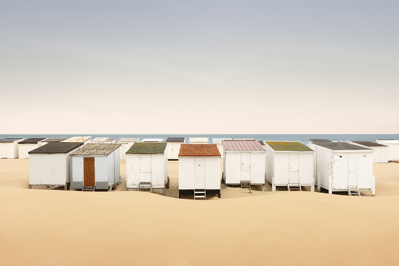 MICHAEL LEVIN : Colour