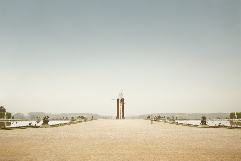 MICHAEL LEVIN : Colour