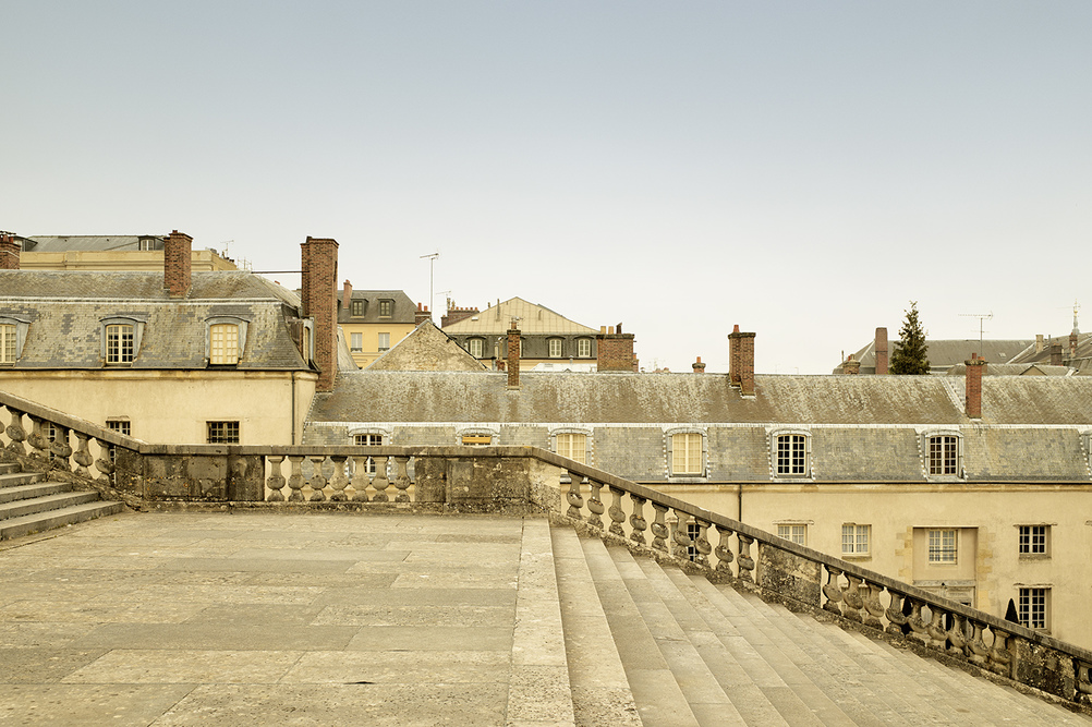 MICHAEL LEVIN : Colour