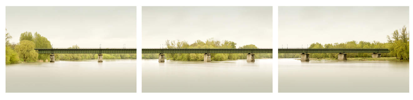 MICHAEL LEVIN : Colour