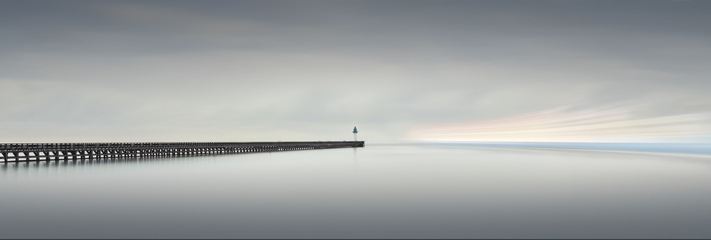 MICHAEL LEVIN : Colour