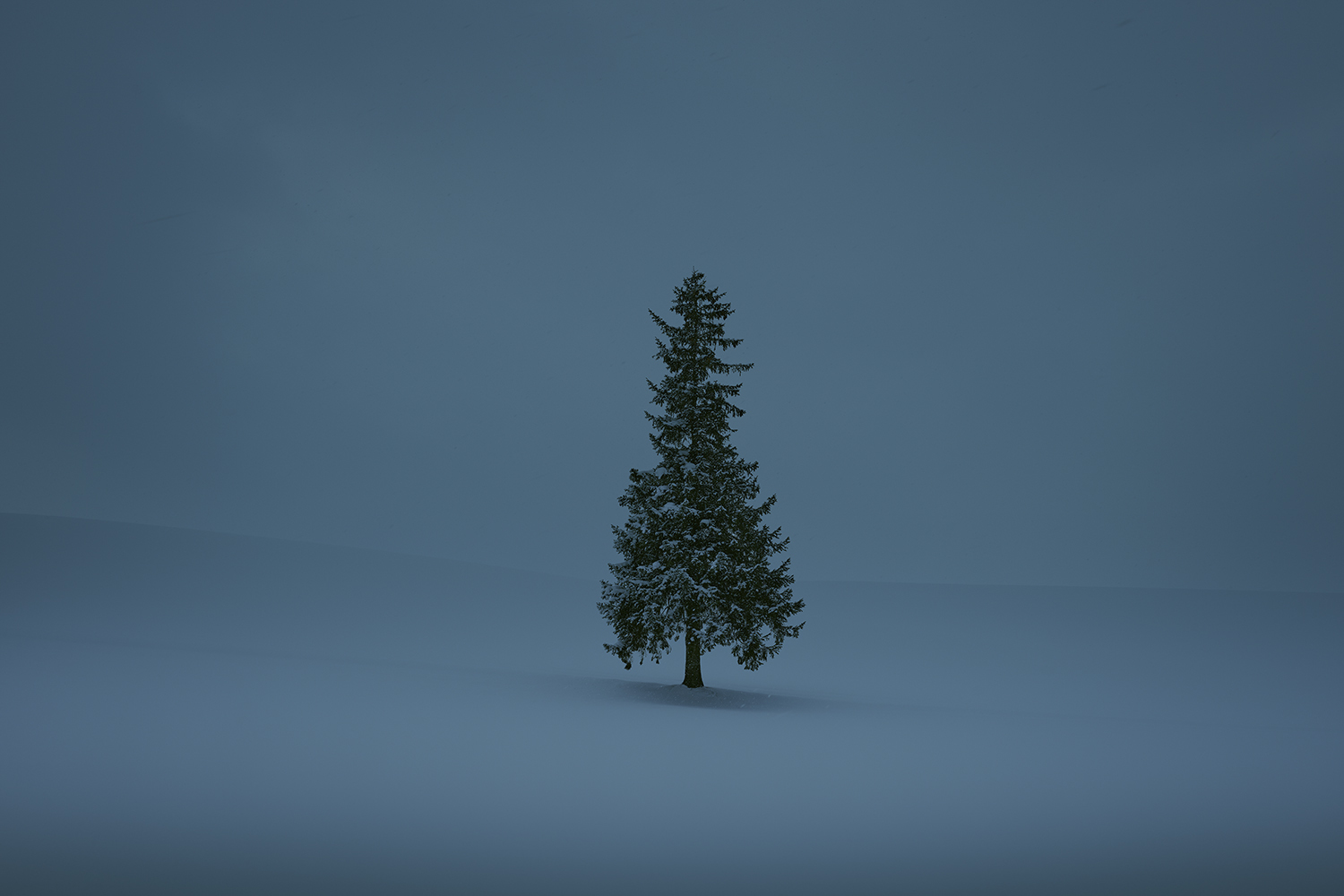 MICHAEL LEVIN : Colour